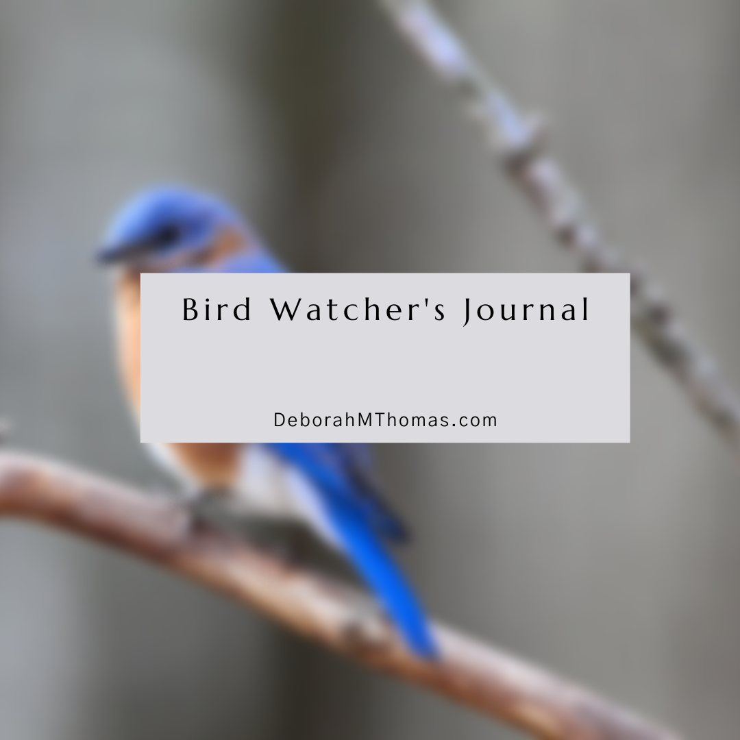 Bird Watching Journal Tips (for beginners) – Journal Writing with Deborah